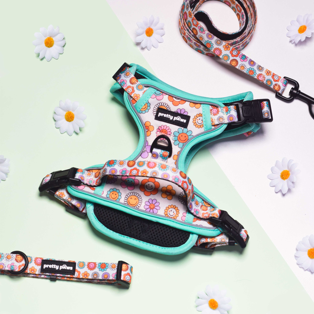 Pretty Paws Dog Accessories