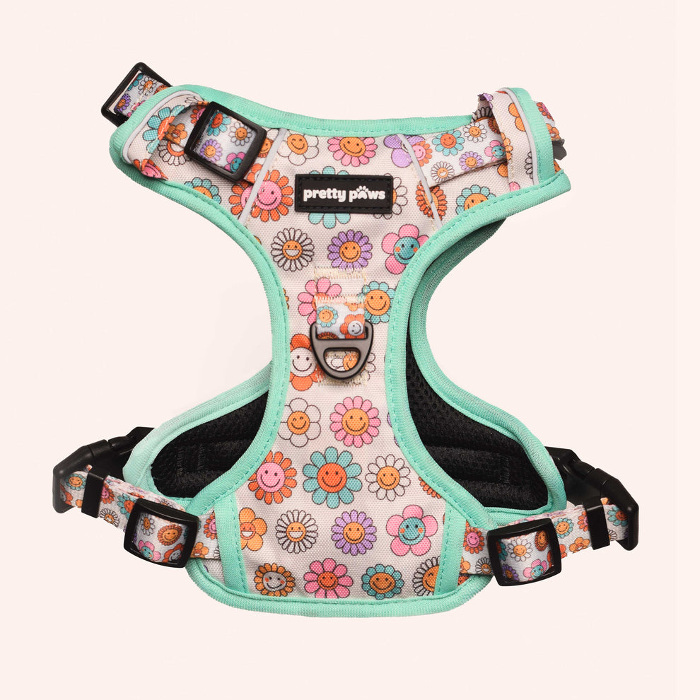 Oh My Daisy Harness – Pretty Paws