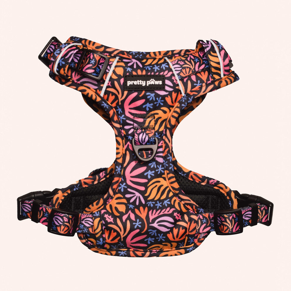 Palm Spring Harness – Pretty Paws